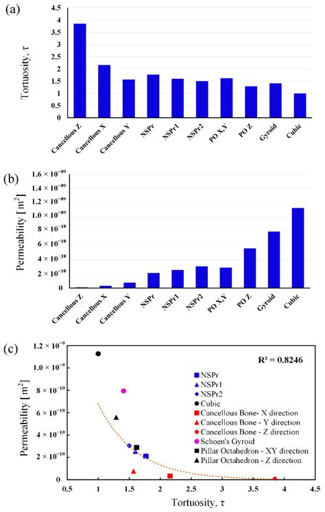 Biomedicines Free Full Text The Effect Of Tortuosity On Permeability Of Porous Scaffold