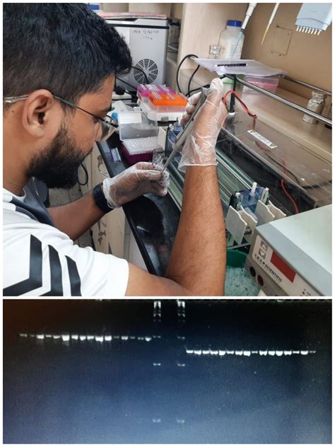 md nure adil siddique on linkedin molecularbiology electrophoresis labtips genetics