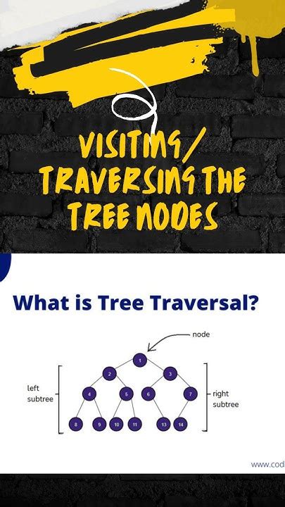 Tree Traversal Explained In Tamil Types Of Tree Traversals