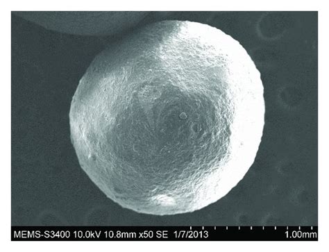 A Sem Image B Optical Image C Magnified Surface Sem Image D