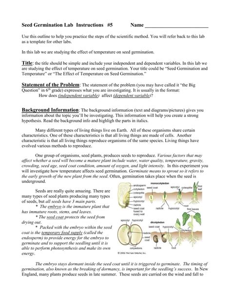 Seed Germination Lab Temperatures Effect