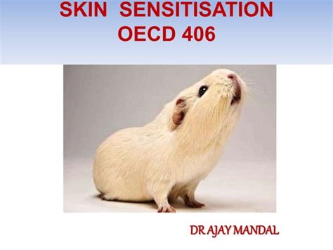 Skin Sensitisation Oecd 406 Pptx
