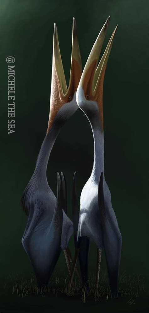 A Pair Of Zhejiangopterus A Type Of Azdarchid Hailing From Late