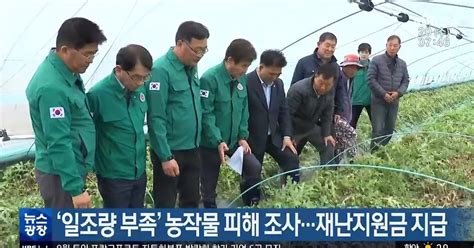 ‘일조량 부족 농작물 피해 조사재난지원금 지급