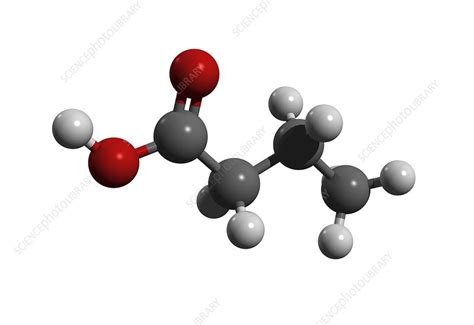 Butyric Acid Molecule Stock Image C0080462 Science Photo Library