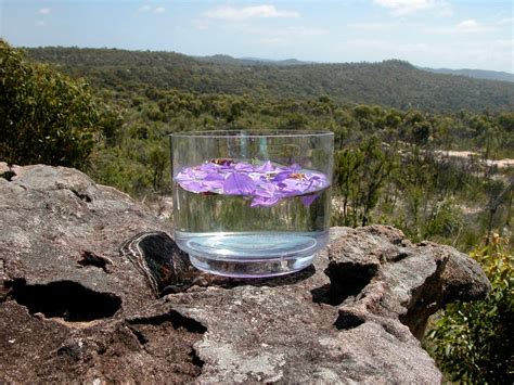 Sleep Ritual Bundle Australian Bush Flower Essences