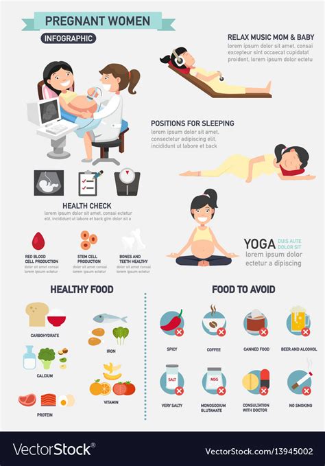 Pregnant Woman Infographics Royalty Free Vector Image