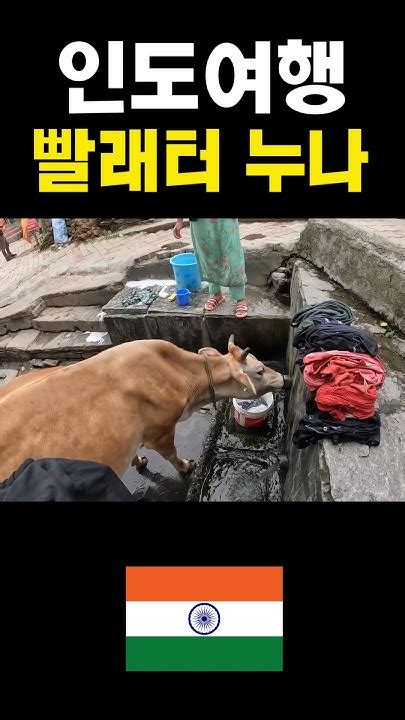 인도 빨래터 누나 Youtube