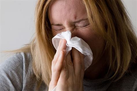 Wajib Tahu Dampak Penyakit Sinusitis Yang Harus Diwaspadai Portal Sulut