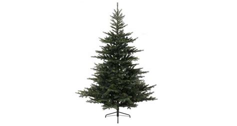 Novogodišnja Jelka Everlands Grandis Fir 240cm Kupi Online Odlična Cena