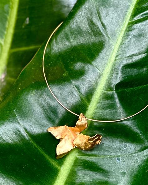 What Type Of Grass Do I Have Easy Identification Tips Dwellect