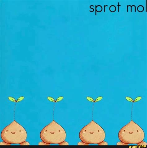 Sprot Mo Sf Sf Sf 28606 Ifunny