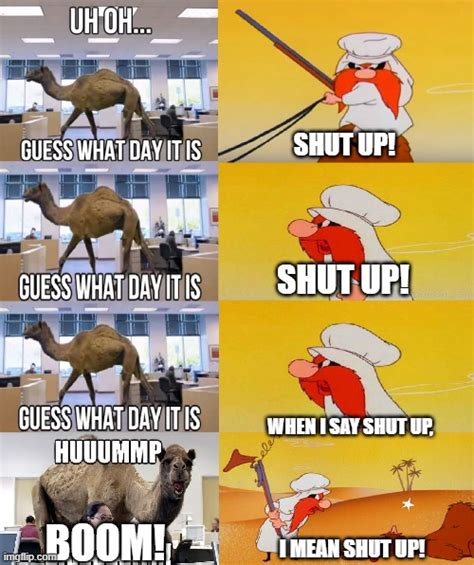 The Best Hump Day Memes To Start Your Wednesday Funny