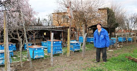 Пчели и истински пчелен мед с пчеларя Бай Вълчо от Ламбух
