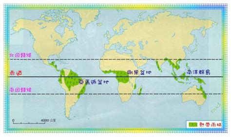 熱帶雨林是分布在熱帶地區