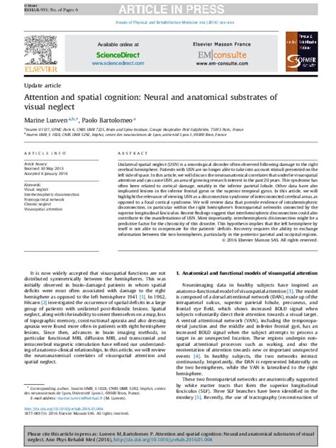 Pdf Attention And Spatial Cognition Neural And Anatomical Substrates Of Visual Neglect