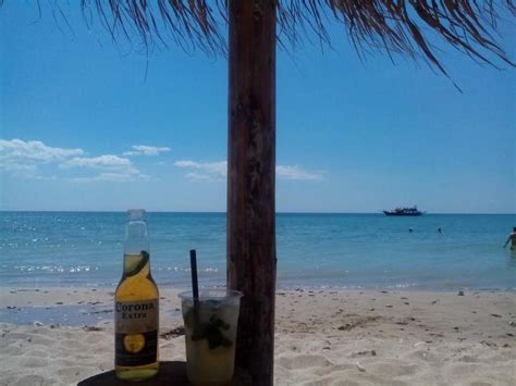 Мнения за Балчик