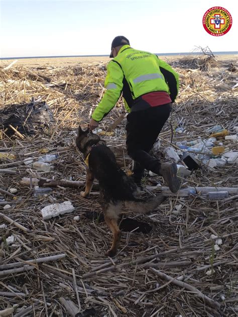 Tragedia di Cutro KR sul posto le Unità Cinofile del Soccorso Alpino