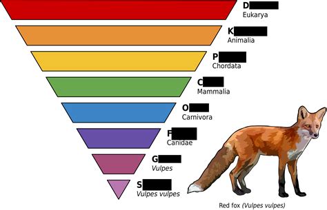What Does The Dkpcofgs Stand For Rbatmanarkham