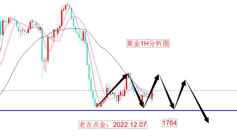 老古点金：黄金多空又陷入拉锯战，原油看跌中金在线财经号