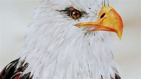 Águila calva pintura en acrílico bald eagle acrylic painting speed