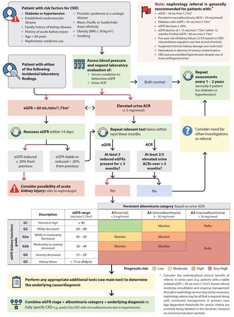Algorithm For The Initial Detection And Diagnosis Of Patients With Ckd