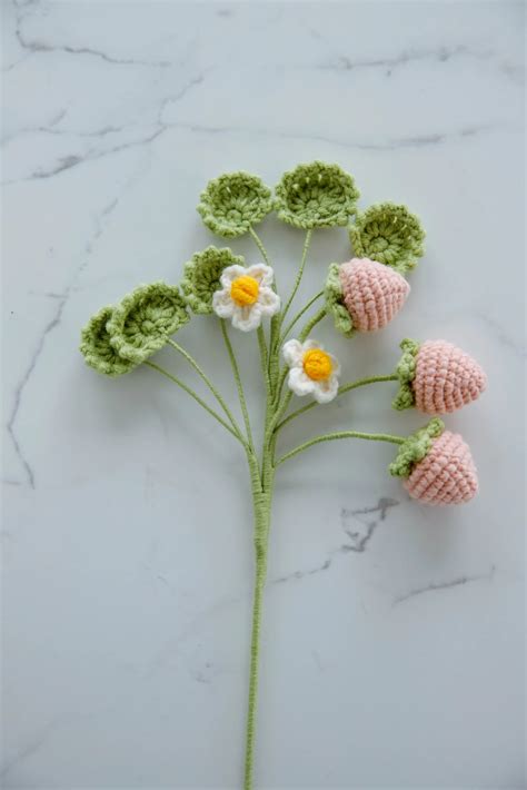 Crochet Strawberry Applique Pattern Hookok