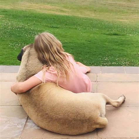 Stream Nica Van Coller Music Listen To Songs Albums Playlists For