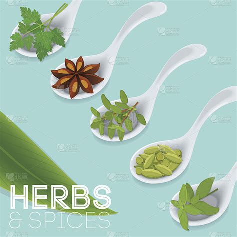 白勺上放香草和香料