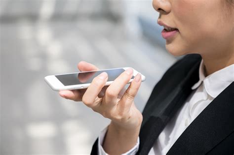 Voice Assistant