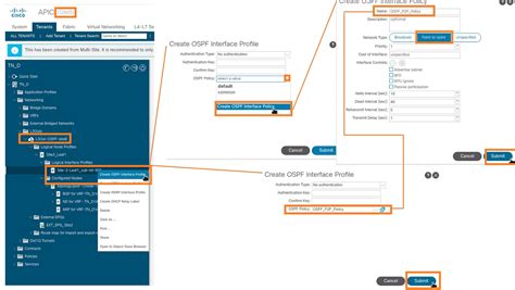 Configure Intersite L Out With ACI Multi Site Fabrics Cisco