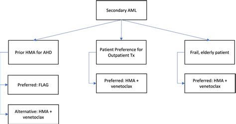 Of Treatment Recommendations For Secondary AML Download Scientific Diagram
