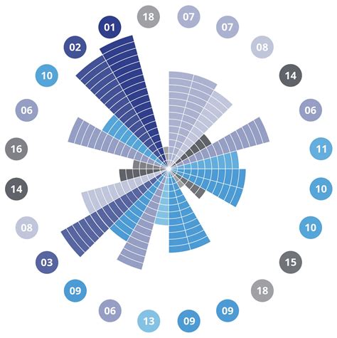 Radar Wind Rose Chart Rpowerpoint