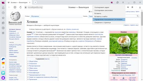 Как настроить поисковую систему в яндекс браузере