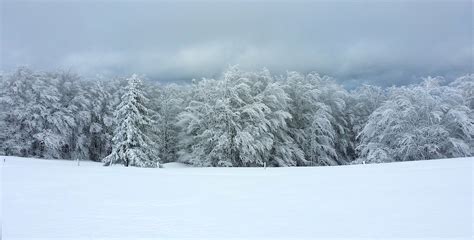 Free Images Tree Nature Forest Snow Frost Mountain Range