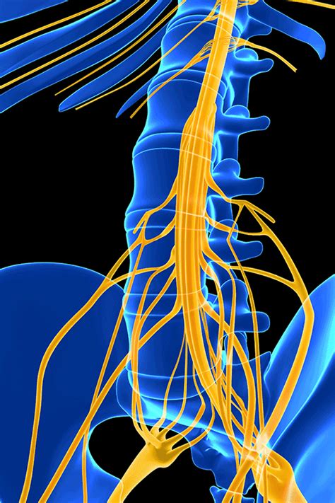Work With A Top Pain Management Doctor Az Pain Doctors