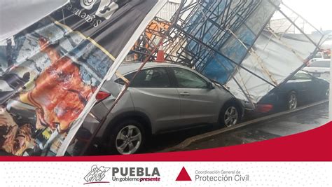 Caída De árboles Y Un Espectacular Saldo De La Lluvia De Este 3 De