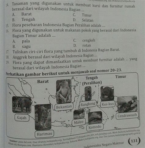 14 Tanaman Yang Digunakan Untuk Membuat StudyX