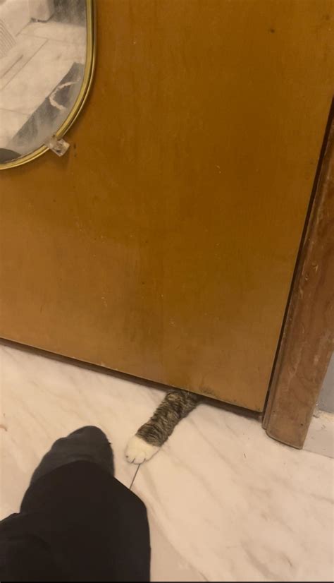 Shes Concerned About My Time In The Restroom Rcats