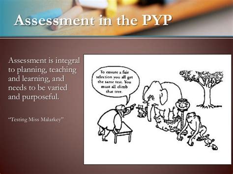 Assessment In The Pyp Assessment Formative Assessment How To Memorize Things