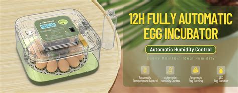 China Livestock Equipment Factory And Manufacturers Suppliers Direct Price Wonegg