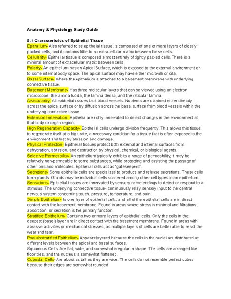 Anatomy And Physiology Chapter 9 And 10 Test