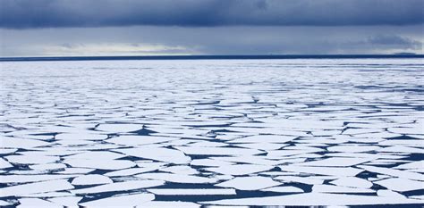Record Low Antarctic Sea Ice Is Another Alarming Sign The Oceans Role