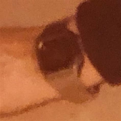 Watch Spotting When I Met Jacques Cousteau And His Quartz Watch Watch Hunter Watch Reviews