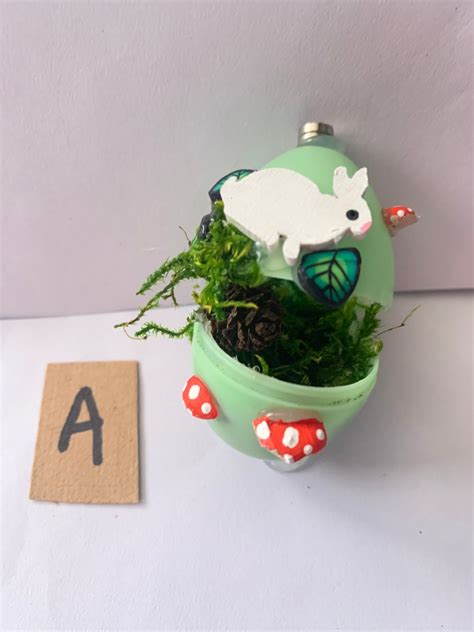 Egg Cellent Habitat Jumping Spider Hammock Hideaway Home Etsy