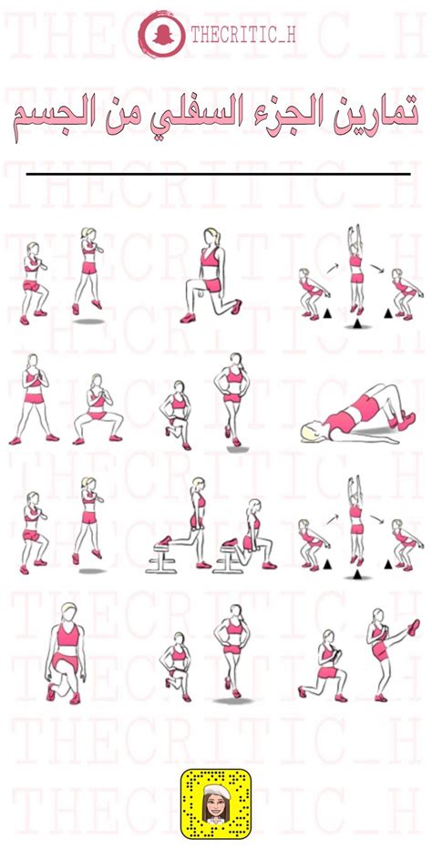 تمارين الجزء السفلي من الجسم Gym Workout Plan For Women All Body