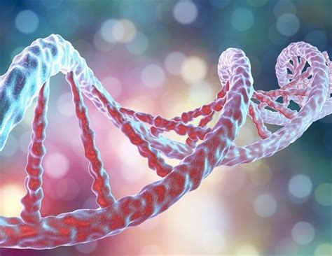 Cutting Edge Imaging And Biopatterning Techniques Announced For Polish Researchers American