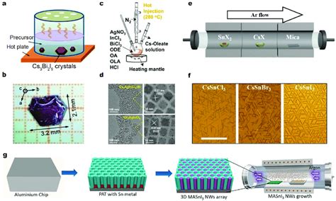 A Schematic Of The Reduced Solution Saturation Method Used To