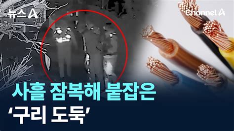 사흘 잠복해 붙잡은 ‘구리 도둑 채널a 뉴스a Youtube