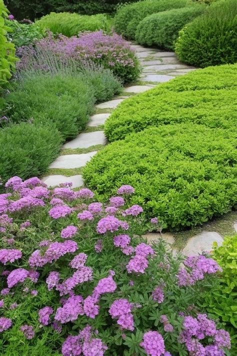 9 Edible Ground Cover Plants